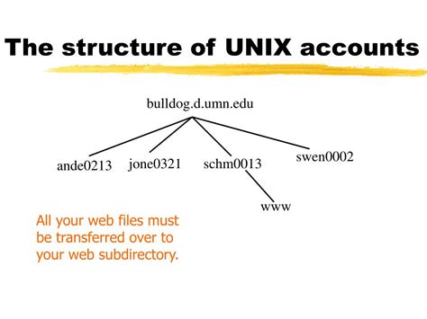 Ppt Internet Assignment Powerpoint Presentation Free Download Id24989