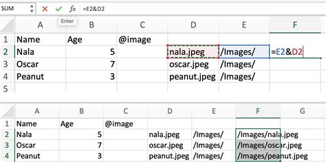 How To Use Indesign Data Merge For Text And Image Automation Be The Bean