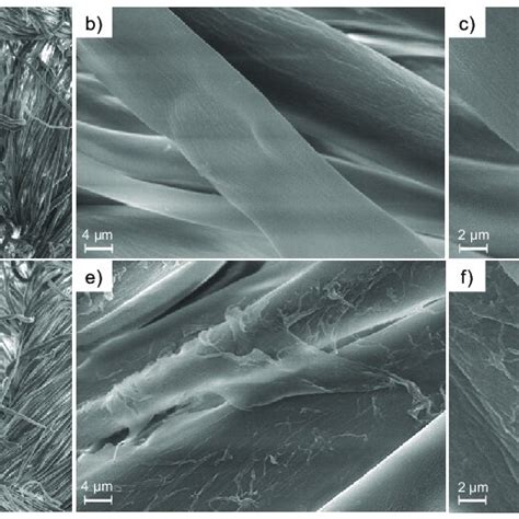 Sem Micrographs At Different Magnifications Of A C Untreated Cotton