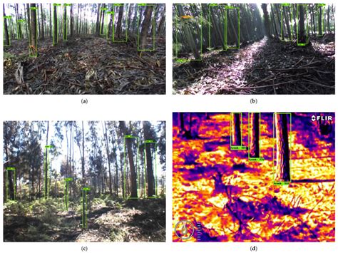 Visible And Thermal Image Based Trunk Detection With Deep Learning For Forestry Mobile Robotics