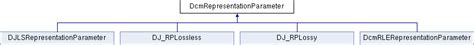 Dcmtk Dcmrepresentationparameter Class Reference