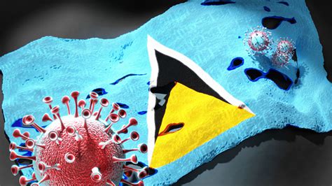 세인트 루시아에서 코비드 코로나 바이러스는 싸움의 상징으로 세인트 루시아의 국기를 공격하고이 나라에서 바이러스 전염병과 투쟁 3d 일러스트 0명에 대한 스톡 사진 및 기타