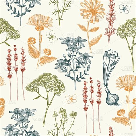 草药的背景。素材 花瓣网