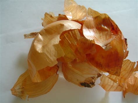 양파껍질을 이용한 천연염색 네이버 블로그