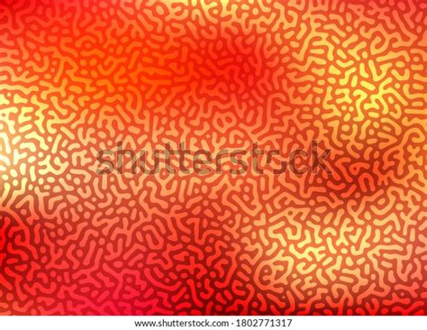Reactiondiffusion Turing Pattern Formation Generative Algorithm Stock Vector Royalty Free