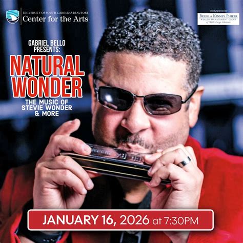 Natural Wonder The Ultimate Stevie Wonder Experience Lowcountry Weekly