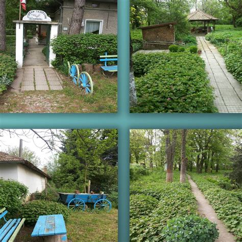 Горски разсадник Салманово