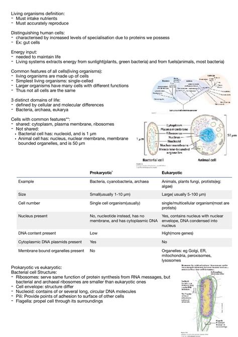 Biochemistry Lecture 1 Doh231 Dental Biochemistry Csu Thinkswap