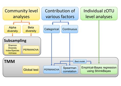 The Flow Diagram With The Type Of Data Set Normalization Per Analysis Download Scientific