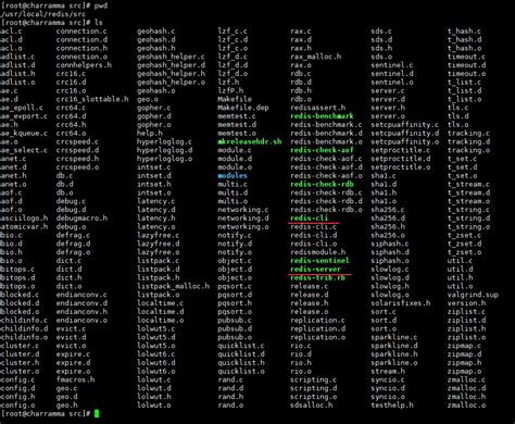 centos7编译安装redis6 0 9 charramma 博客园