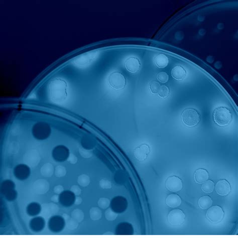 宏基因组 三代测序 解码（上海）生物医药科技有限公司