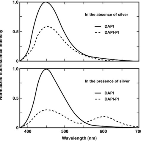 Emission Spectra Of DAPI Labeled DNA And DAPI PI Labeled DNA Download Scientific Diagram