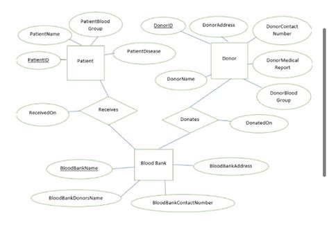 Solved I Need An Sql Database Dbdl And Er Diagram Made For A Blood