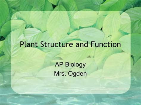 PPT Plant Structure And Function PowerPoint Presentation Free Download ID 1308688