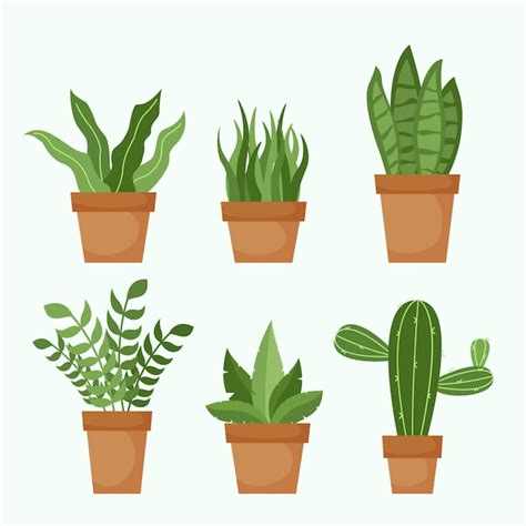 Colección De Plantas De Interior Planas Vector Gratis