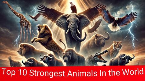 Top 10 Strongest Animals In The World Unbelievable Strength