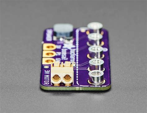 Coming Soon Adafruit Bonsai Buckaroo Microbit And Clue Plant Care