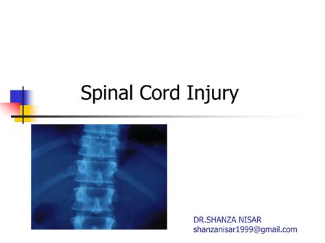 SOLUTION Functional Significance Of Spinal Cord Level Studypool