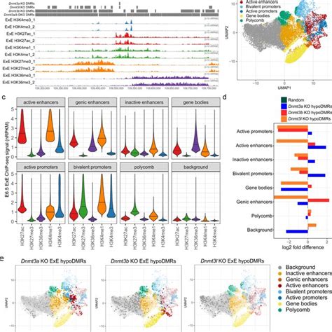 Metagene Analysis Of Transcripts Downstream Of Ttss In Two Types Of