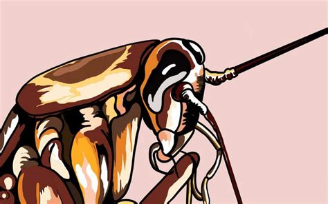5 Important Quotes In The Metamorphosis By Franz Kafka