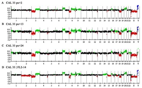 Whole Genomic Array Cgh Profile Of The Hnscc Cell Line Cal 33 Along