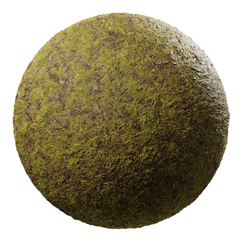 Grass Texture Poliigon Grass Texture Poliigon