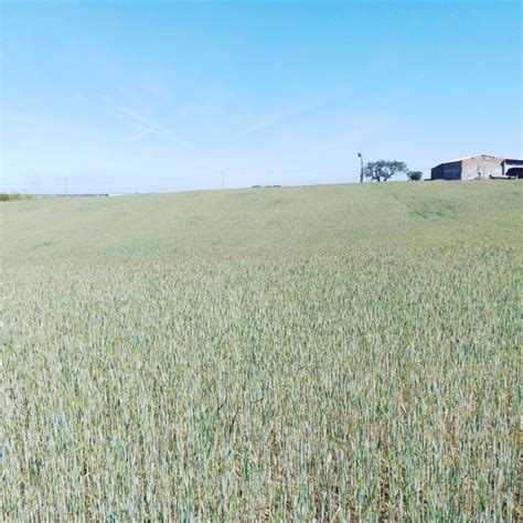 Samuel Rodrigues De Oliveira On Linkedin Try To Evolve In Whatever Function You Perform Do