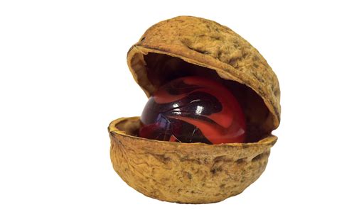 Api Economy In A Nutshell Api Economy Is Created Around The By