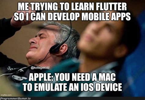 Flutter Memes Programmerhumor Io