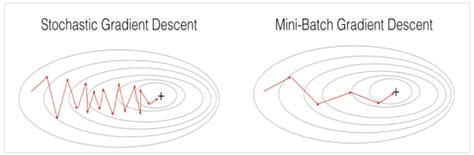 Stochastic Gradient Descent
