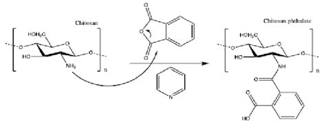 Synthetic Of N Phthalic Chitosan Npcs Download Scientific Diagram