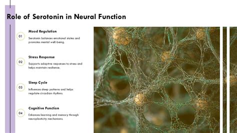 Monoaminergic Neurons Ppt Graphics Acp Ppt Presentation