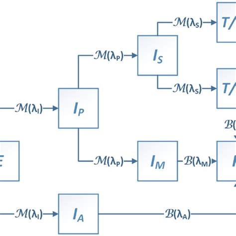 Block Diagram Of The Stochastic Compartmental Seir Model Population
