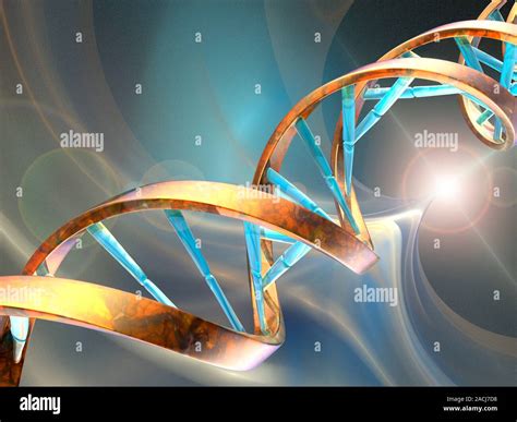 Dna Molecule Computer Artwork Of A Double Stranded Dna Deoxyribonucleic Acid Molecule Dna Is