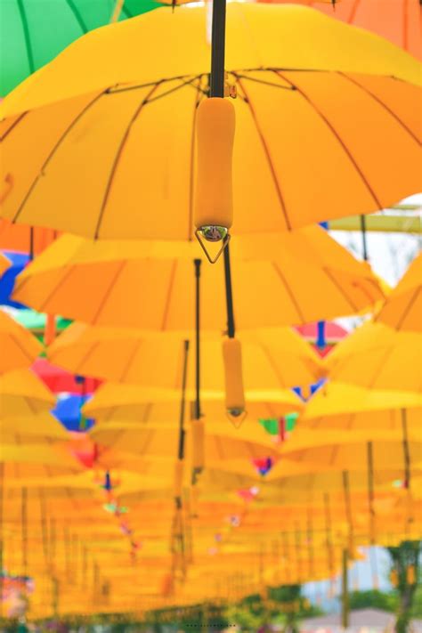 [노란 우산의 그늘아래] 대한민국 No 1 감성채널 얼라우투