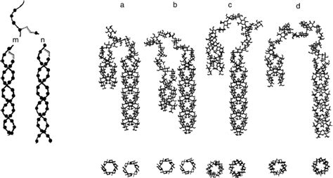 12 Schematic Representation Showing Some Parameters Underlying Download Scientific Diagram