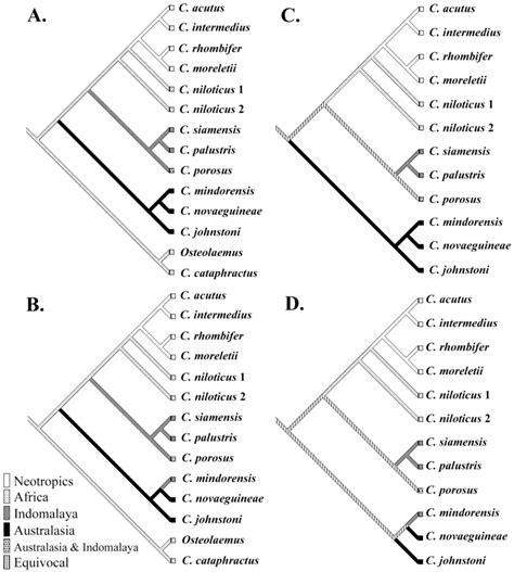 11 The Results Of The Parsimony Biogeographic Ancestral Download