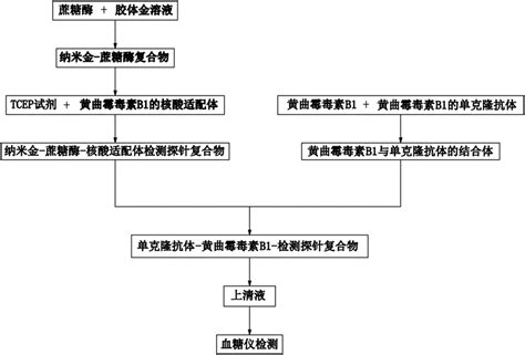 Method For Quantitative Detection On Aflatoxin B1 By Using Glucometer Eureka Patsnap
