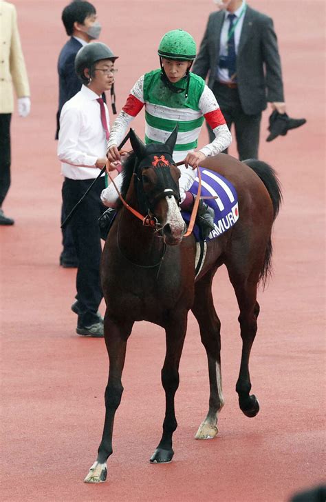 【注目馬動向】エリザベス女王杯5着のナミュールは東京新聞杯へ マイル戦に戻して重賞2勝目狙う スポーツ報知