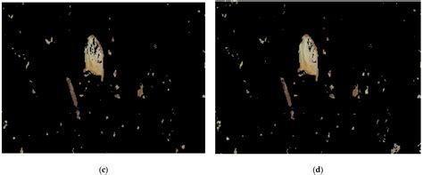 The Detection Of Impurity Content In Machine Picked Seed Cotton Based On Image Processing And