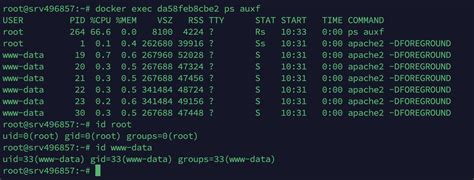 FTP Rights Alpine Ftp And Wordpress General Docker Community Forums