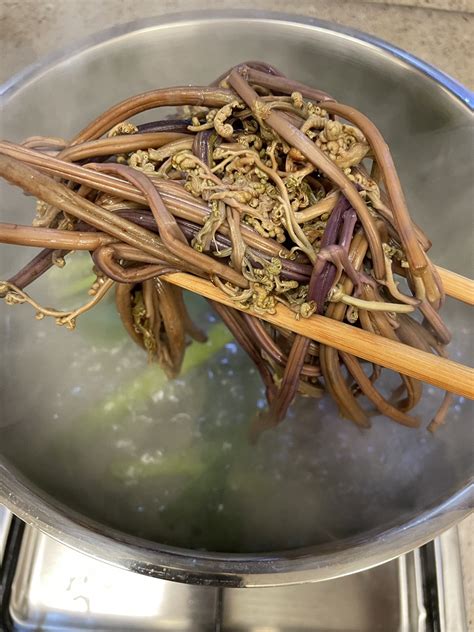 집에서 육계장 만들기