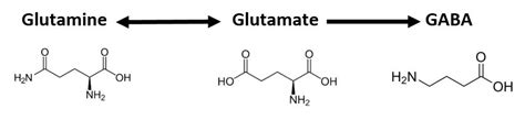Gaba Our Anti Anxiety Neurotransmitter Dr Wendi Health
