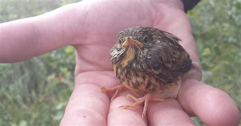 First Post After 2 Years Of Lurking Imgur