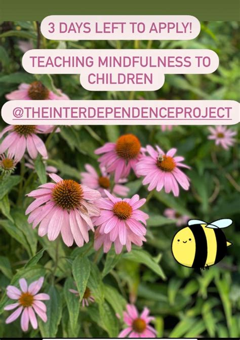 The Interdependence Project On Linkedin Learn More About Our Program