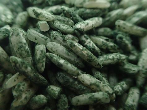 ไตรโคเดอร์มา ศูนย์ข่าวกรมส่งเสริมการเกษตร