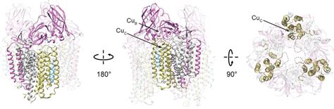 Biochemistry Of Aerobic Biological Methane Oxidation Pmc