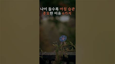 나이 들수록 아침 습관이 중요한 이유 6가지 명언 삶의지혜 오디오북 인생지혜 인생조언 노년의지혜 노후 조언 인간관계 좋은글 처세 인생명언 지혜