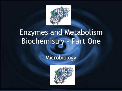 Ppt Enzymes And Metabolism Biochemistry Part One Powerpoint