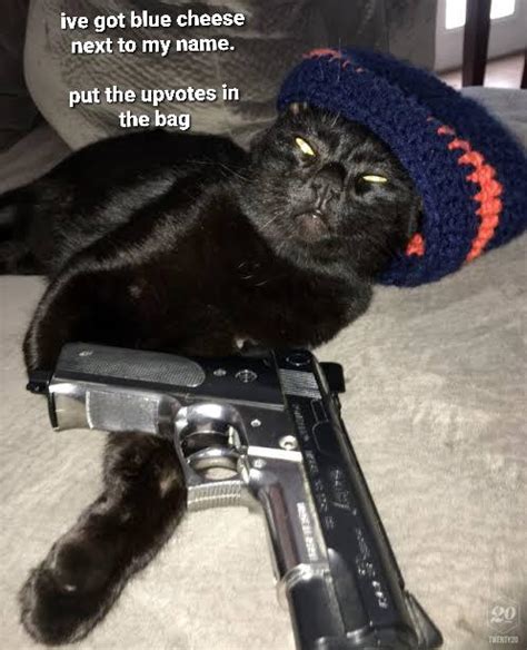 Mafia Cat Memes Whos A Good Kitty Imgflip